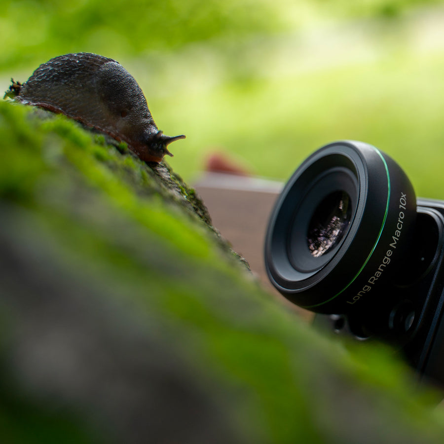 Macro but further away